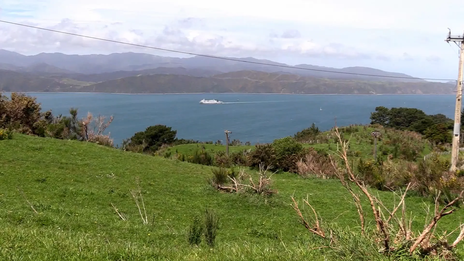 Habitat_for_Life_Simple_Vimeo on Vimeo