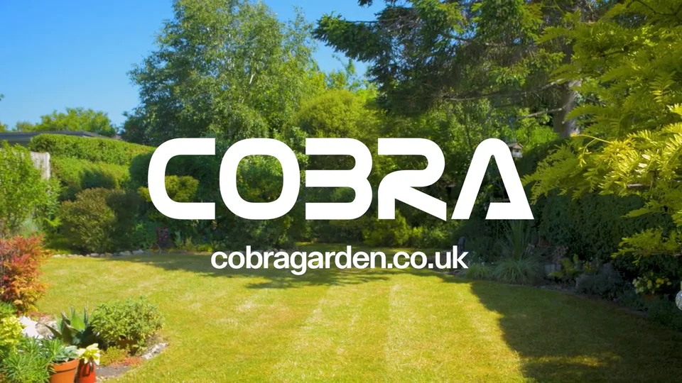 Cobra gt3024v store