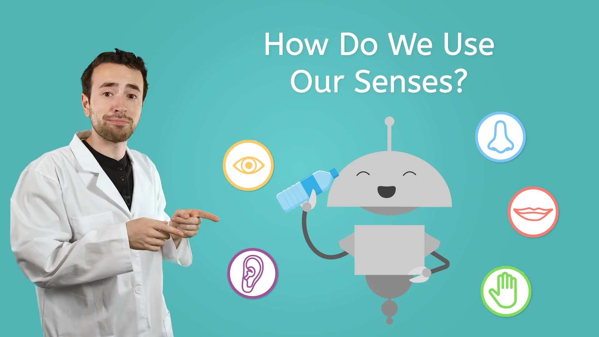How Do We Use Our Senses?