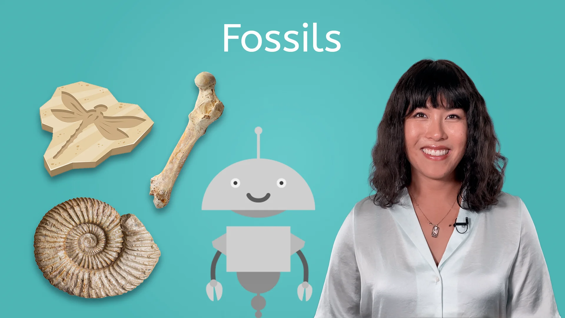 Fossils