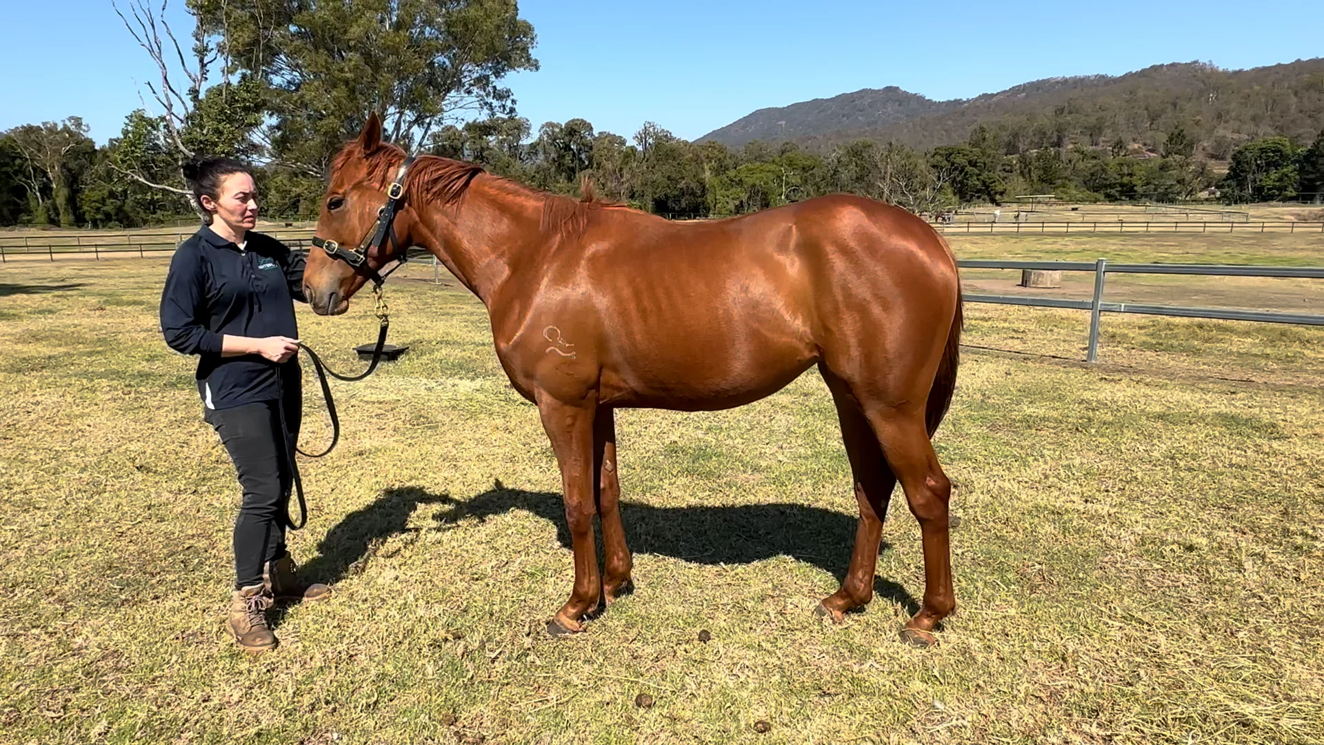 Hidden code x dubious on Vimeo