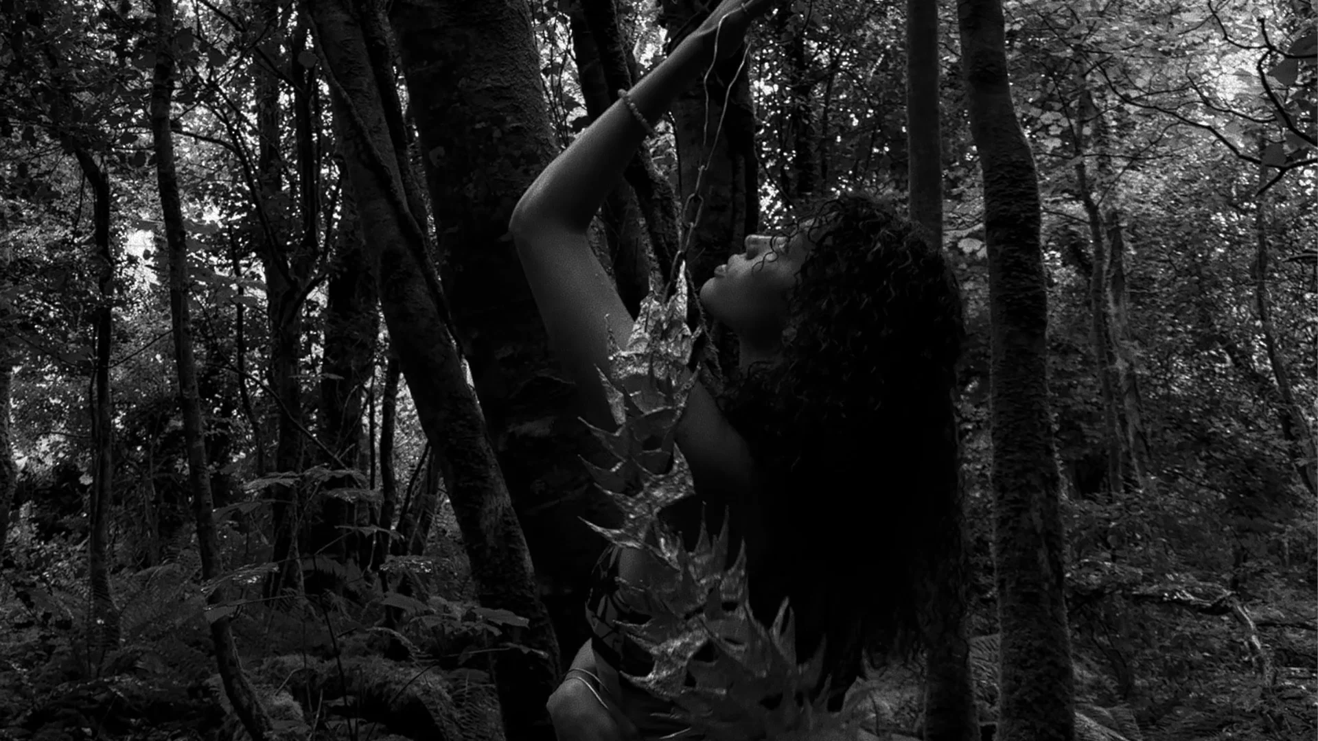 Jules Shadow on Vimeo