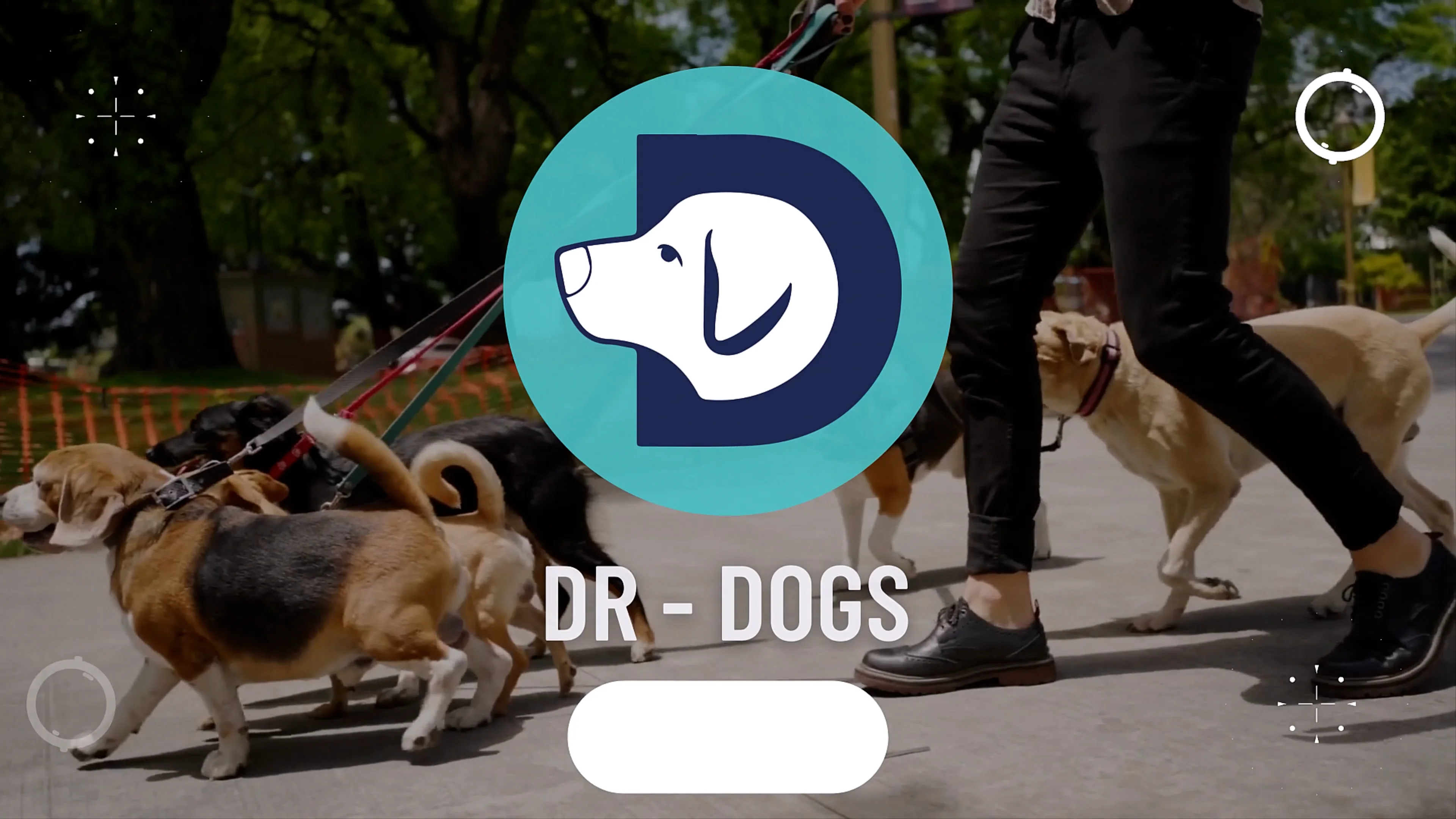 dr-dogs-intro on Vimeo