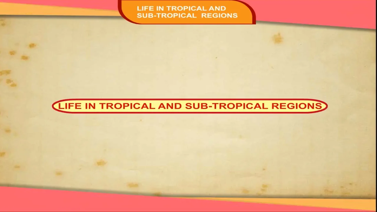Life in Tropical and Sub Tropical Regions on Vimeo