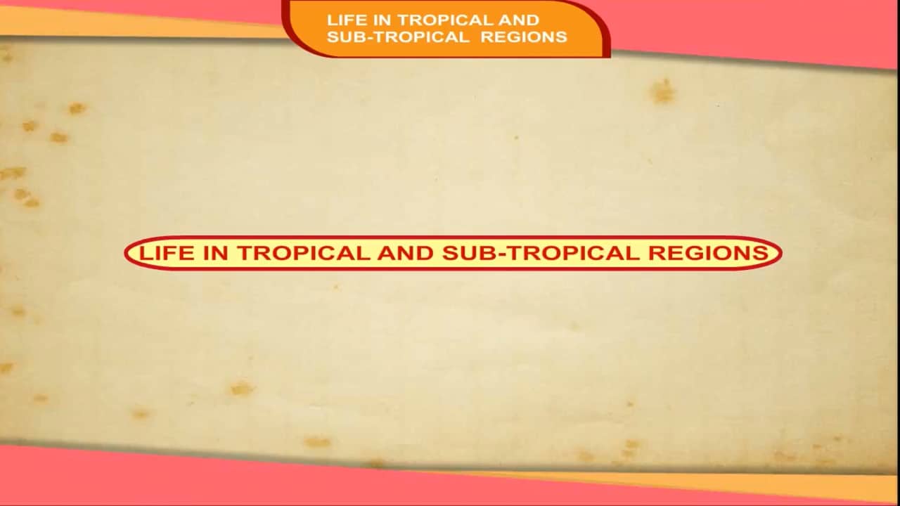 Life in Tropical and Sub Tropical Regions on Vimeo