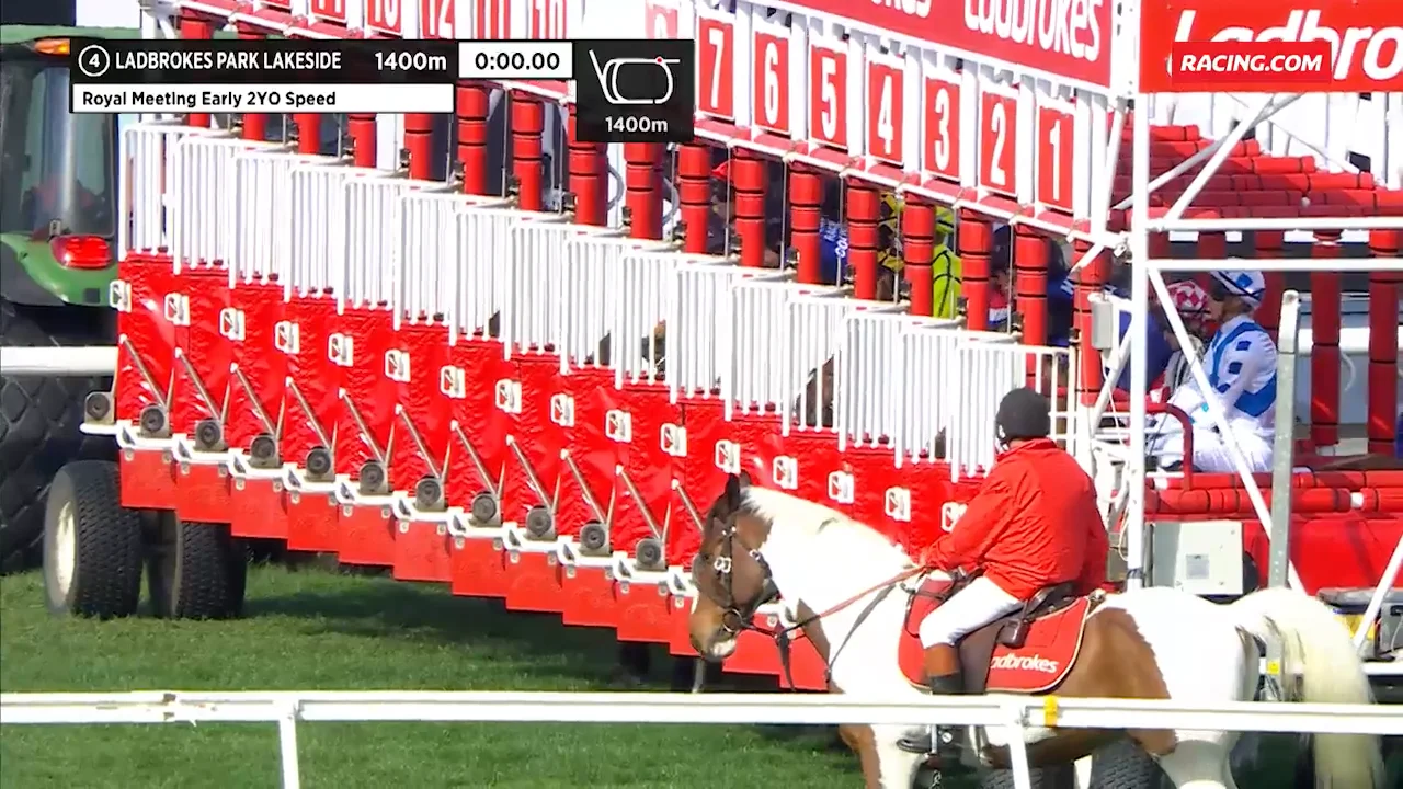 Electric Impulse 23-8-23 on Vimeo