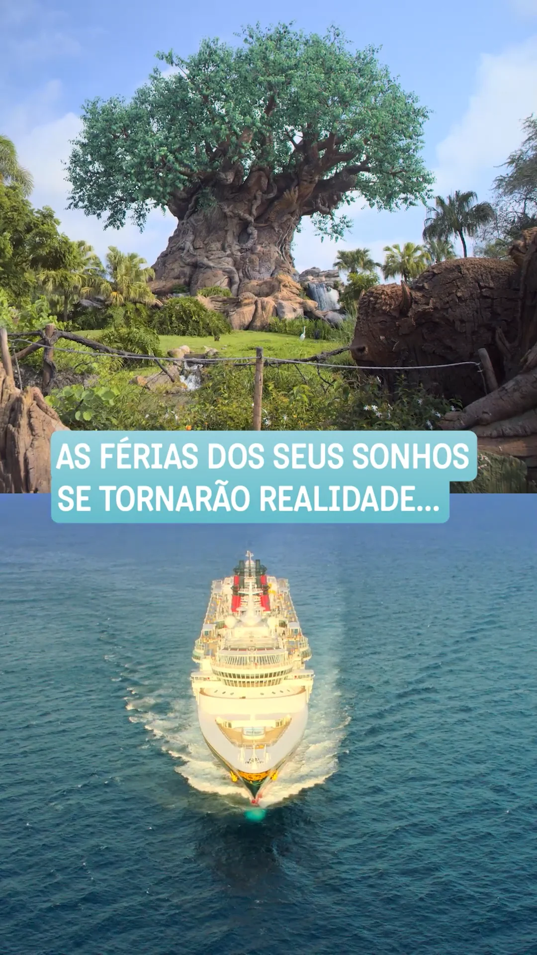 Disney World & Disney Cruise Line - Infomercial - Authentic, Excited ...