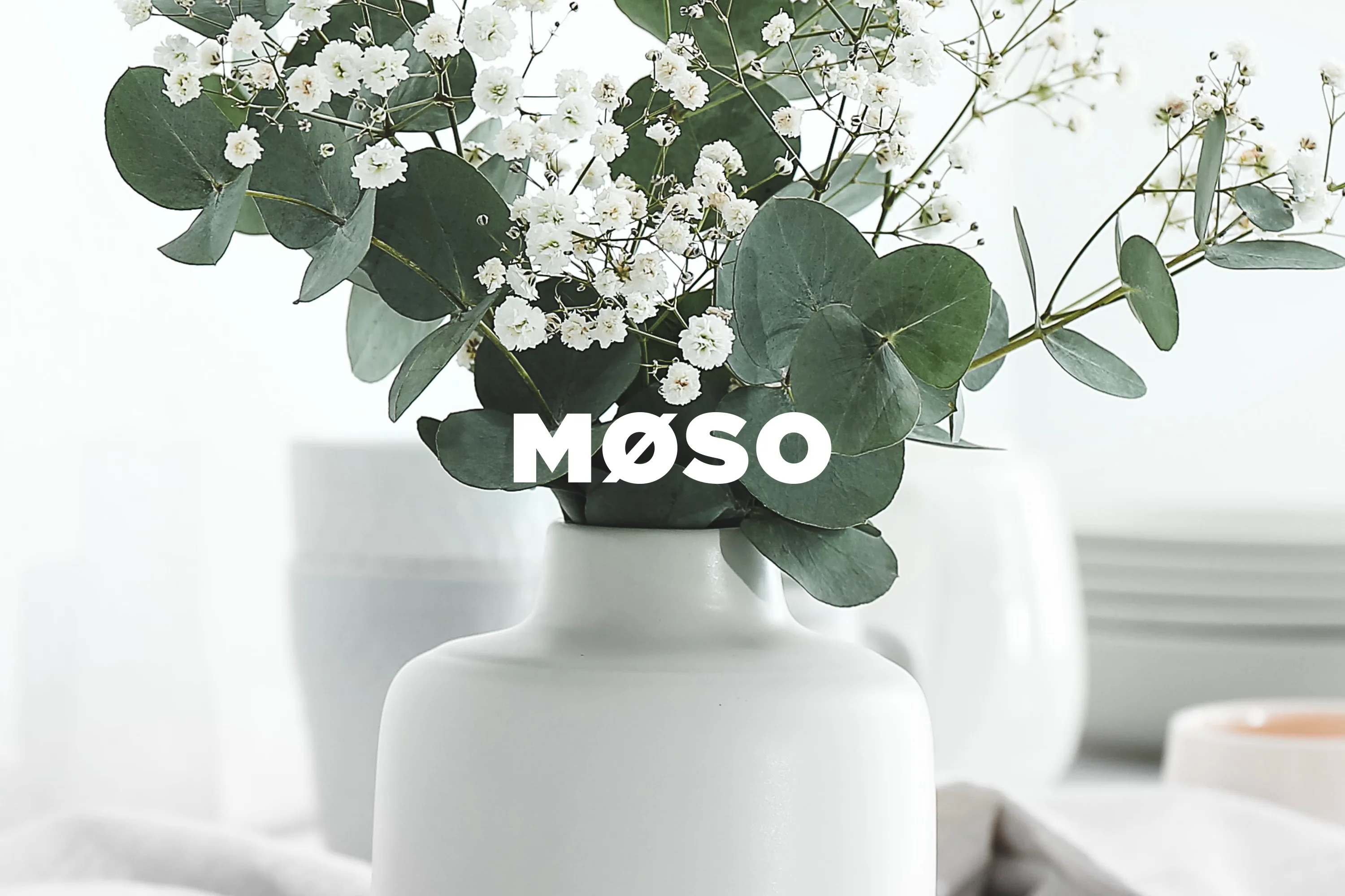 Moso_Logo on Image on Vimeo