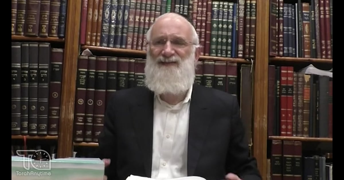 R' Naftali Reich | Parshas Ki Setzei: Living the High Life