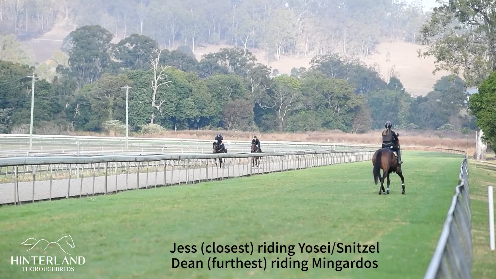 Mingardos and Yosi x Sintzel on Vimeo