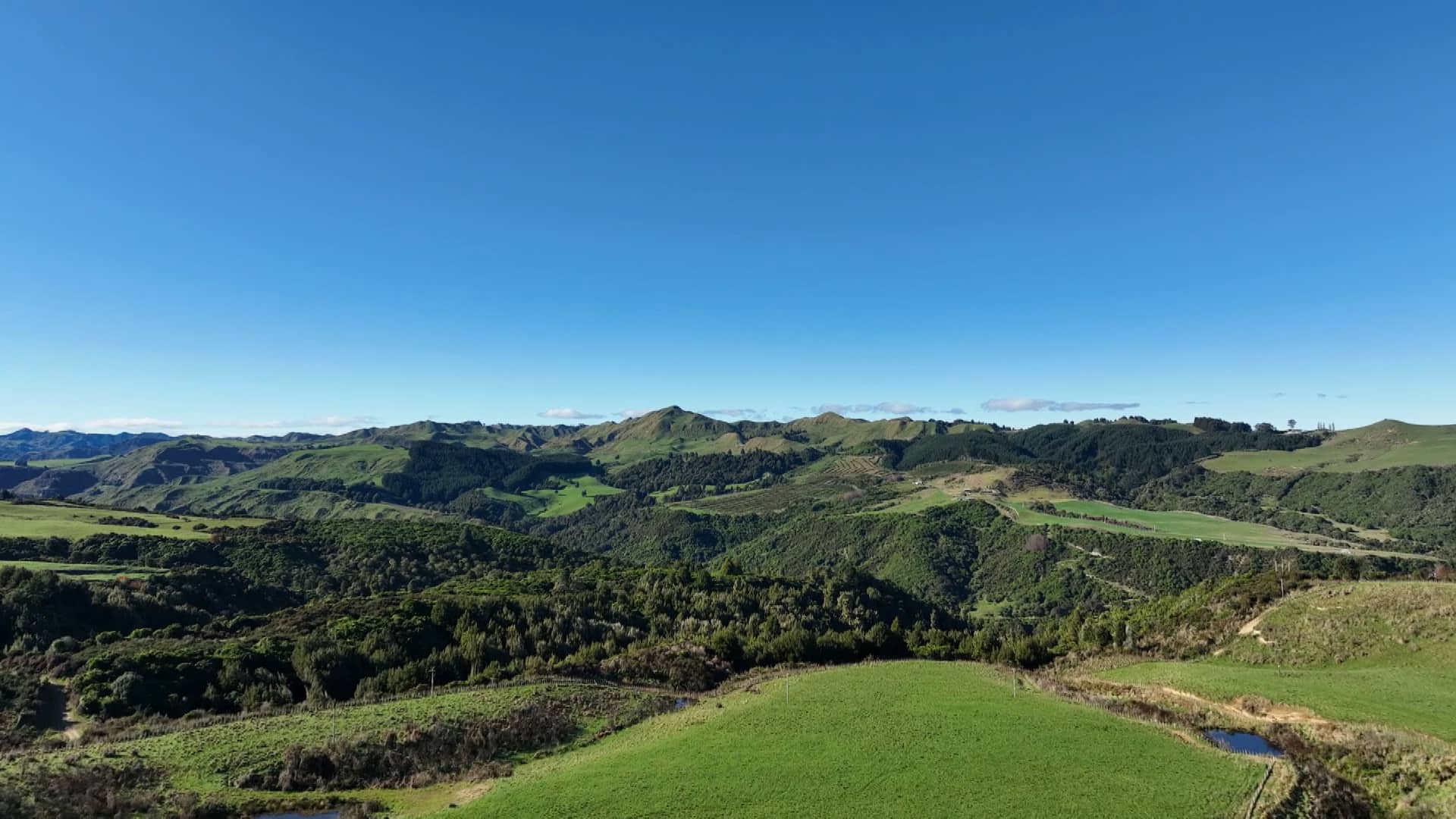 TVNZ Sunday Tamata Hauha Branching Out Sun 23 July 2023 on Vimeo