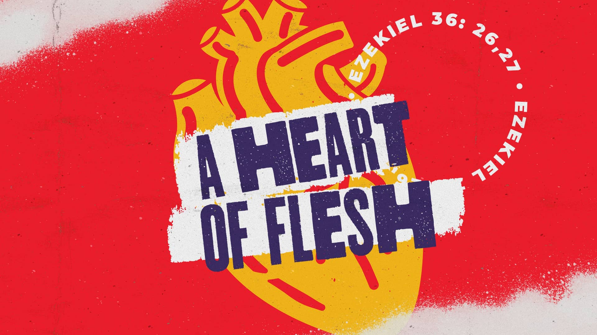 A Heart of Flesh on Vimeo