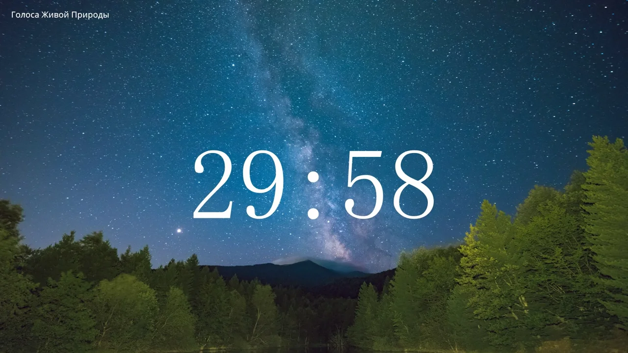 Обратный отсчет Таймер 30 минут. Звуки живой природы _ Countdown. Timer ...