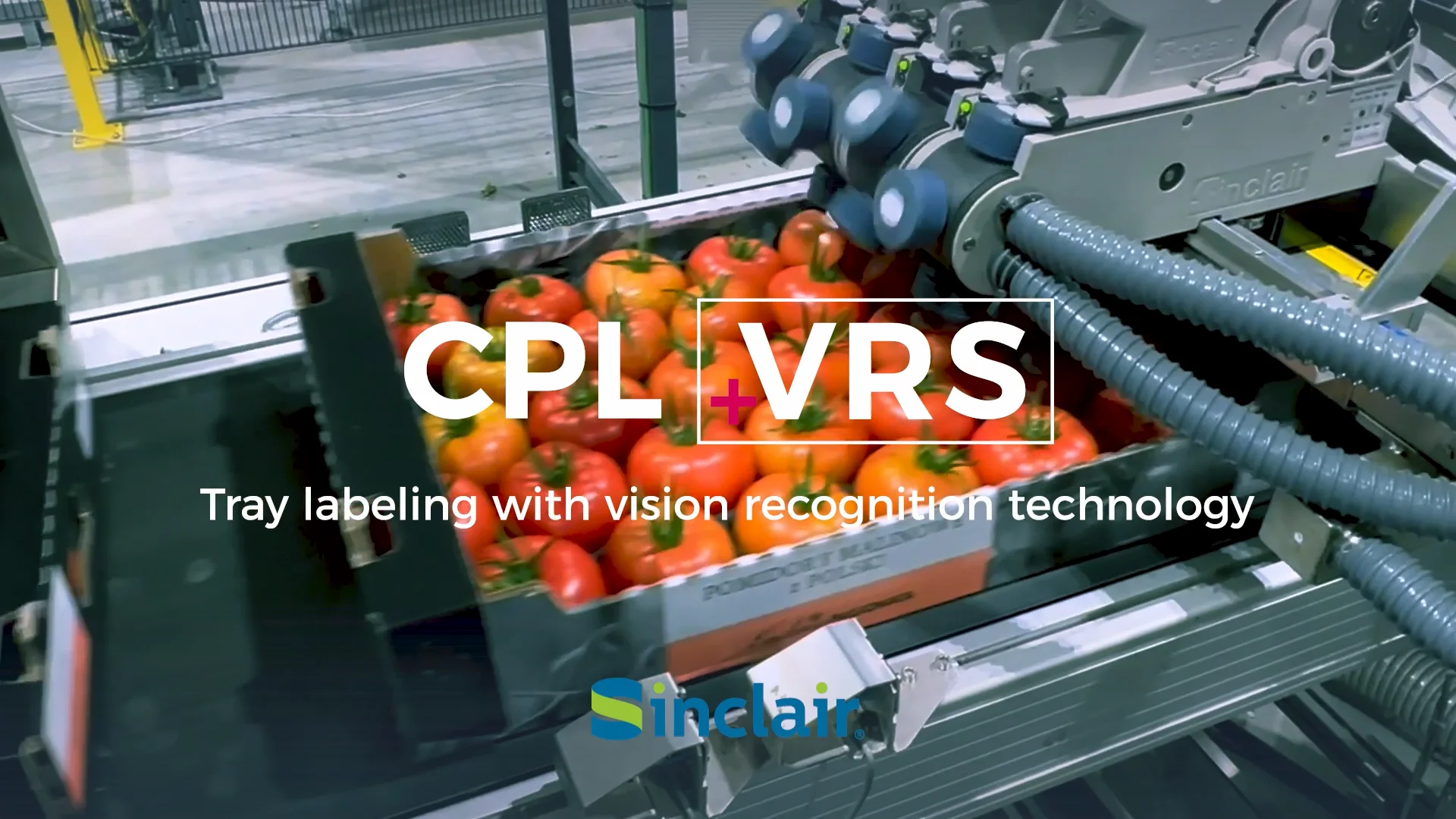 Pattern Tray Fruit Labeling Solution: Sinclair CPL+VRS on Vimeo