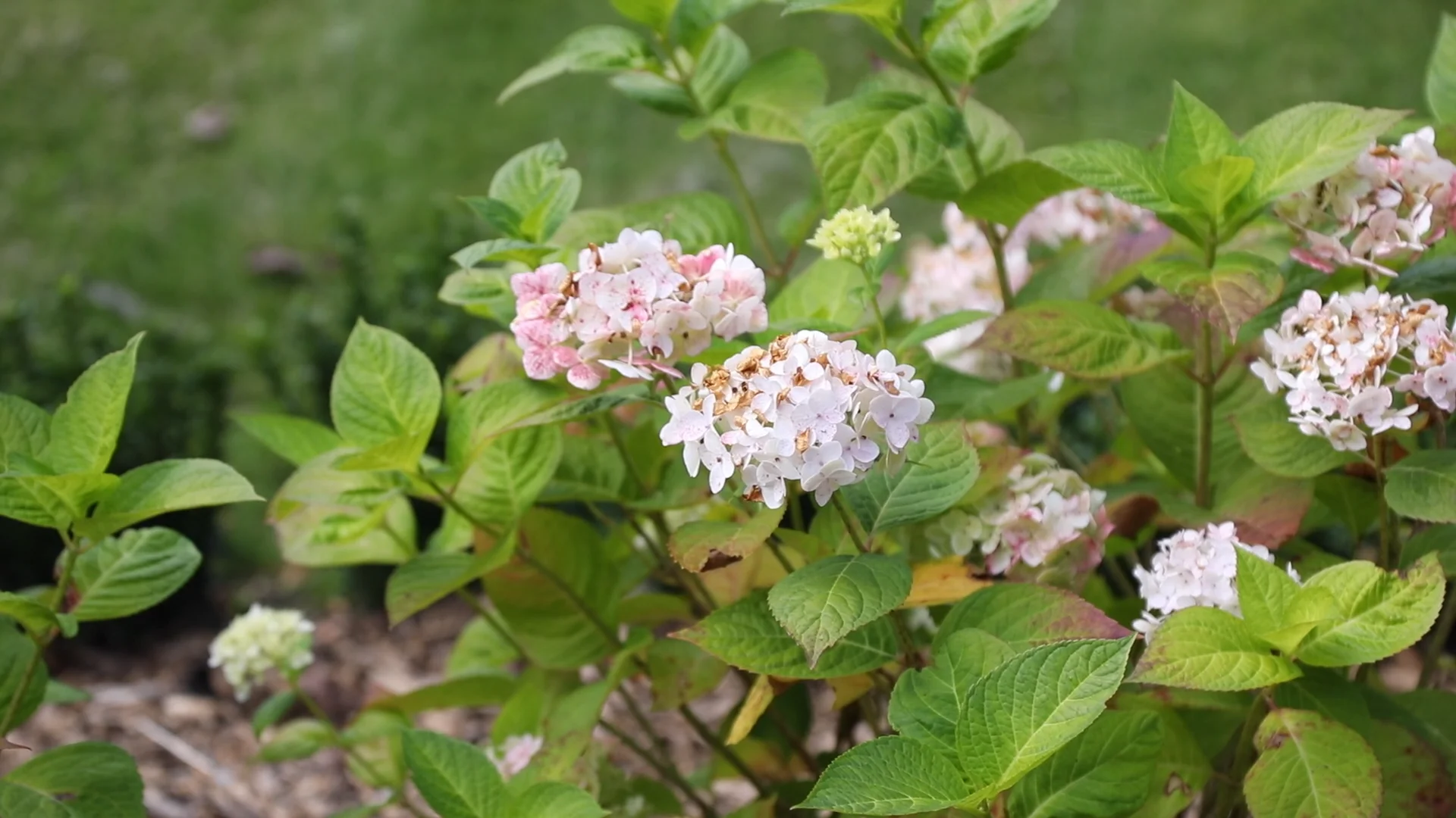 Lucy & Mason Highlight Video on Vimeo