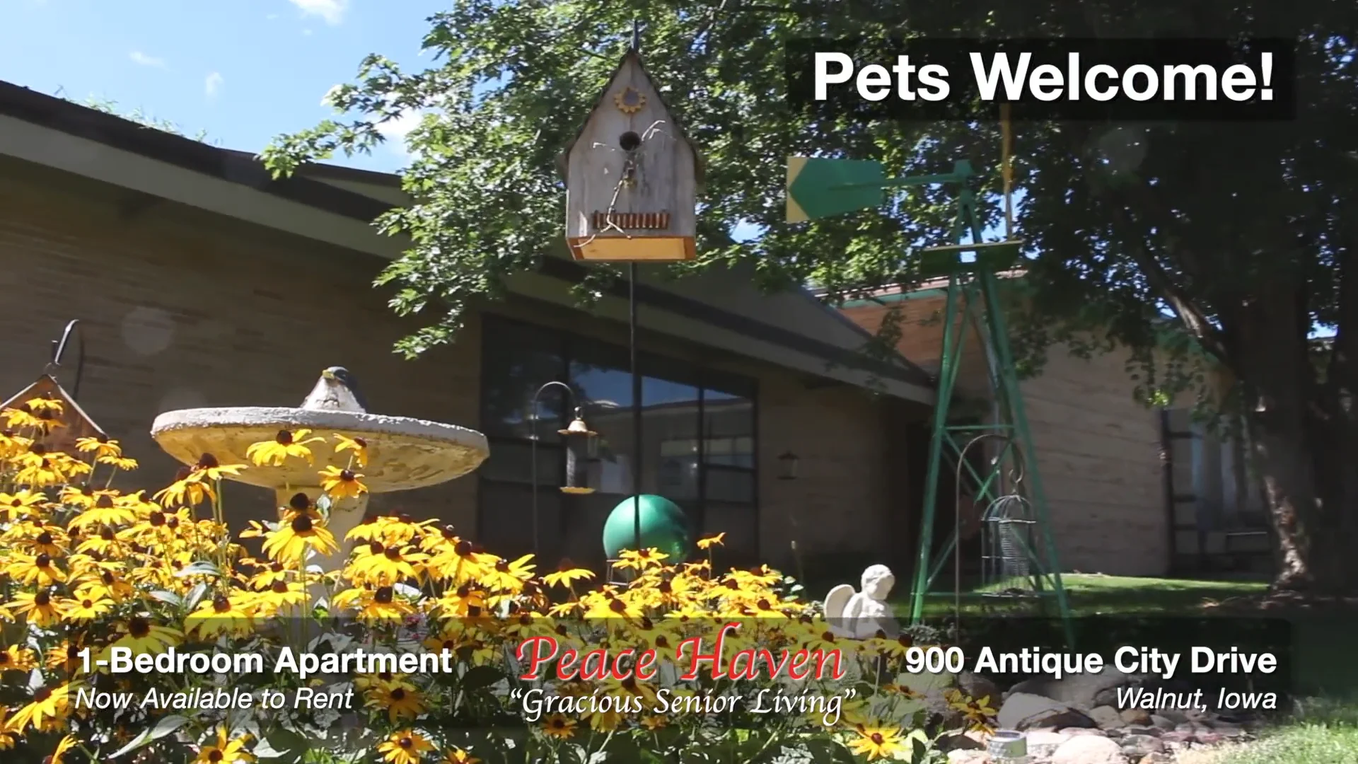 PeaceHaven_Branding_0823 on Vimeo