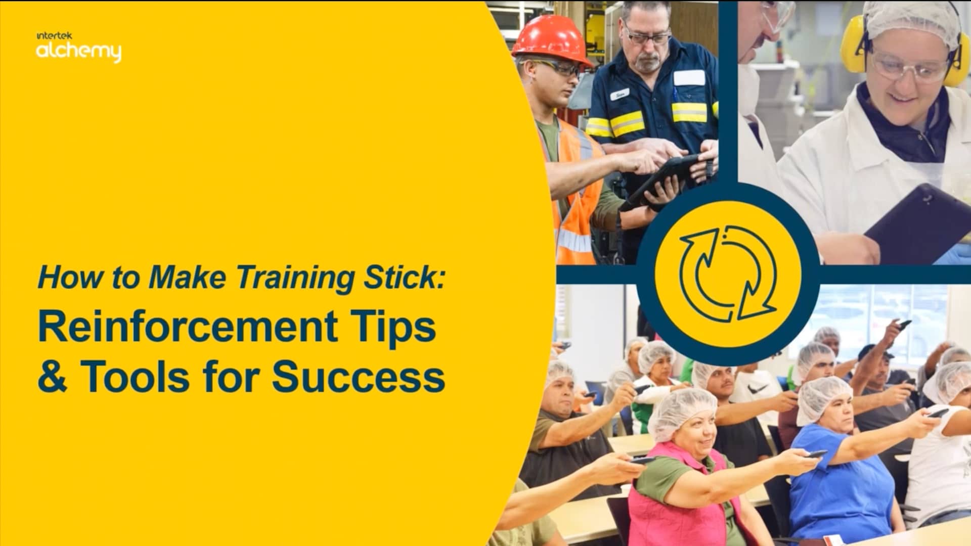 How to Make Training Stick: Reinforcement Tips & Tools for Success on Vimeo