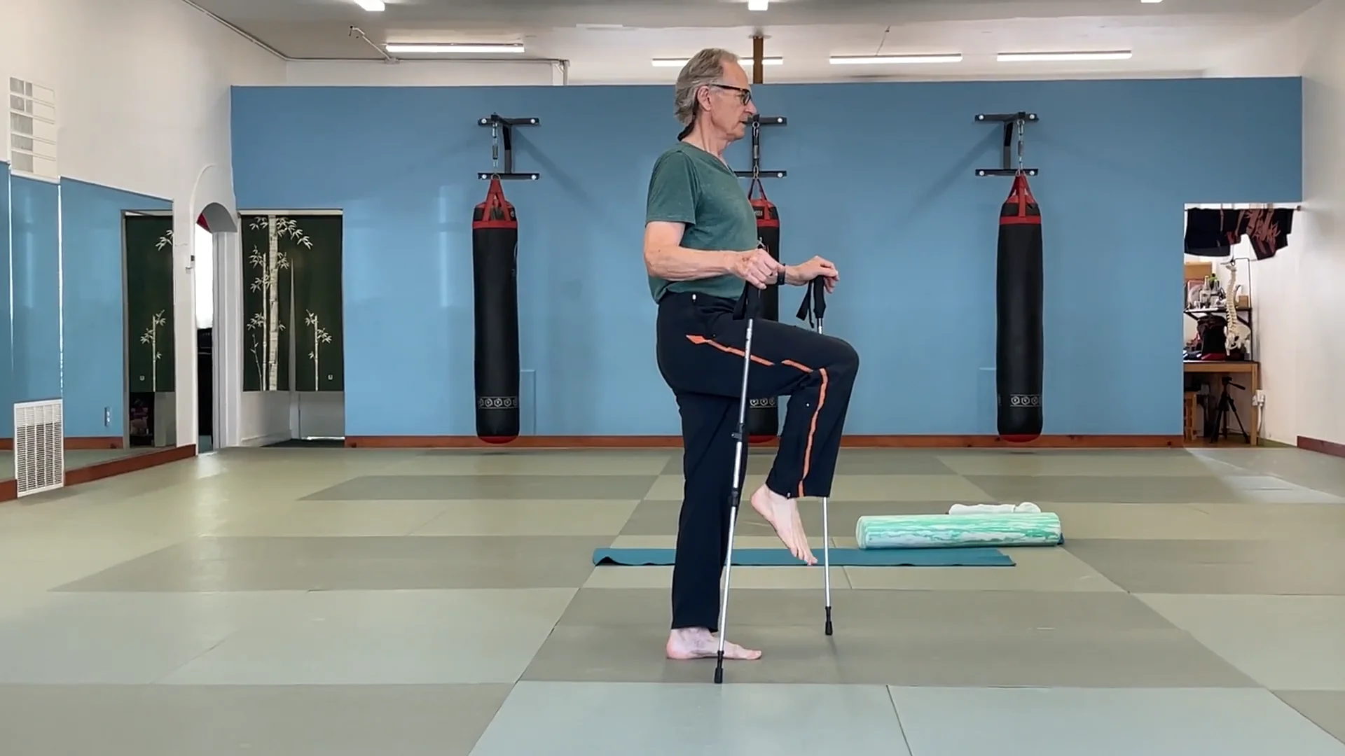 Forward/Backward Stepping High with Poles on Vimeo