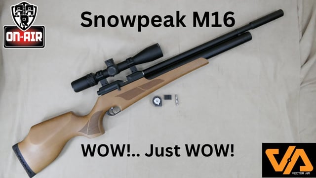 Snowpeak M16 - Airgun101