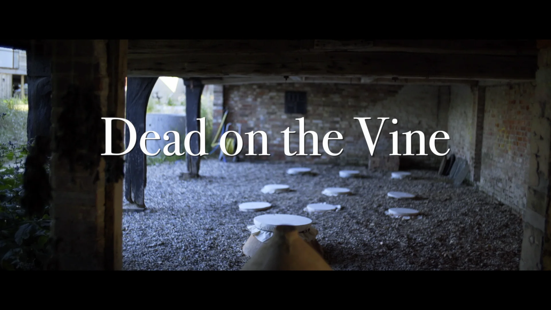 Dead on the Vine Trailer