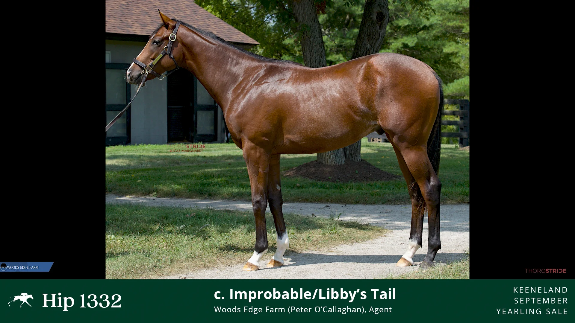 KEESEP23_Hip 1332_Libby's Tail 22 on Vimeo