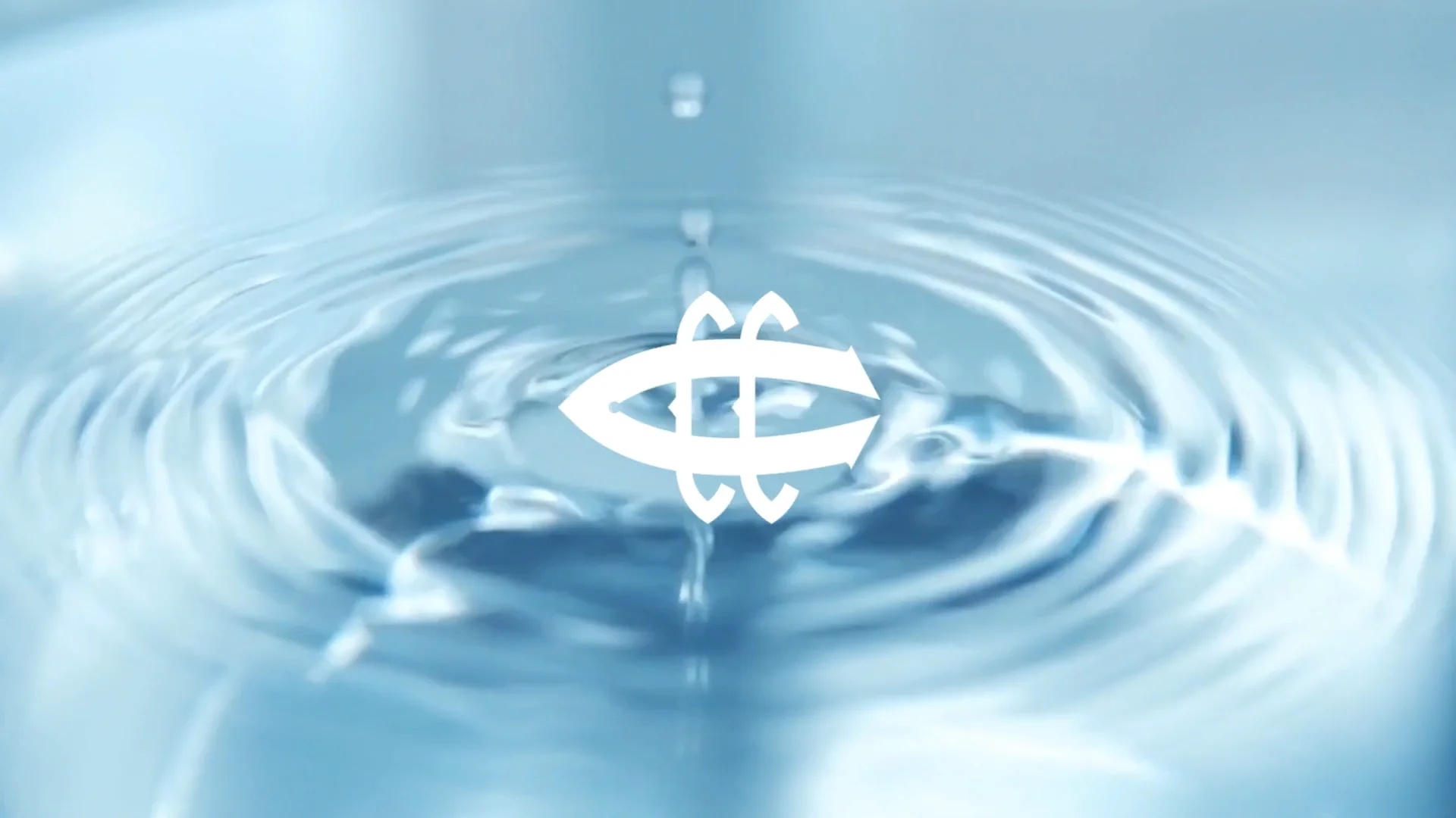 Ripple Video 2023 on Vimeo