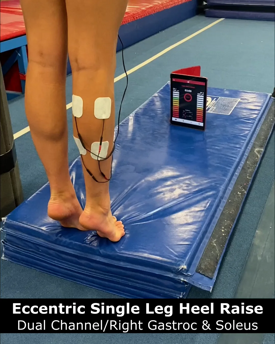 Eccentric SL Heel Raise_1_2_R gastroc