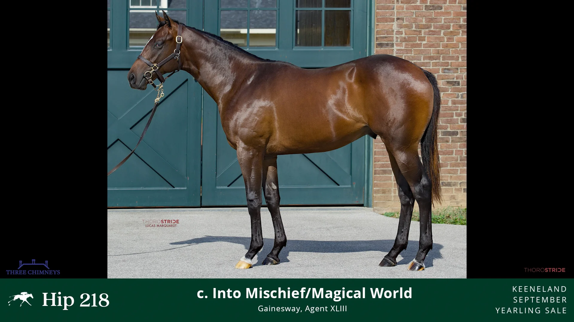 KEESEP23_Hip 218_Magical World 22 on Vimeo