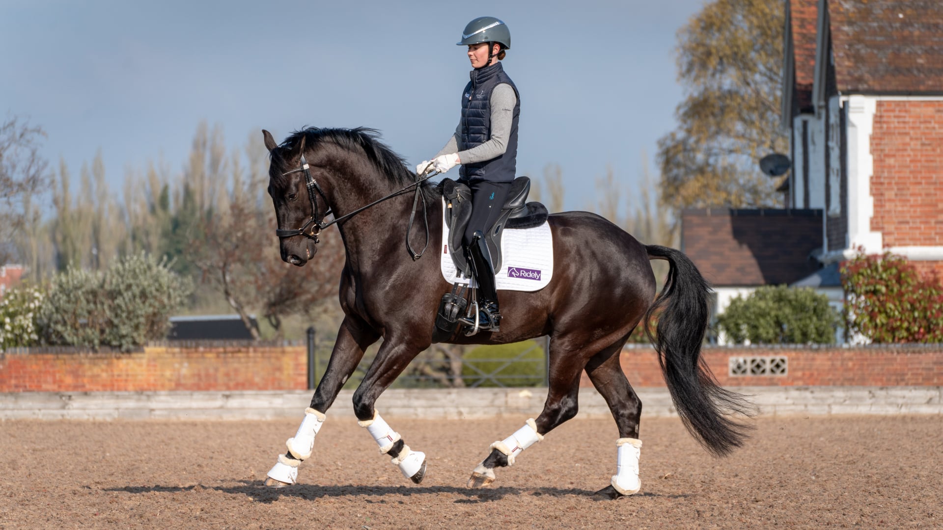 How to Ride Basic Transitions | Ridely