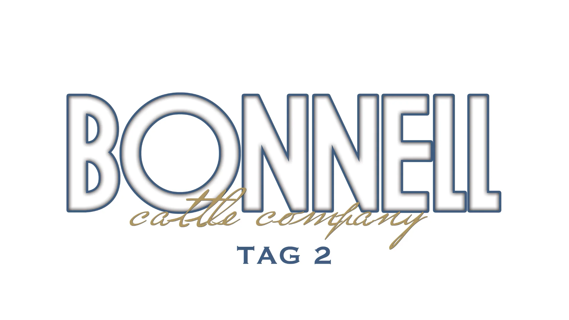23bcc-tag2