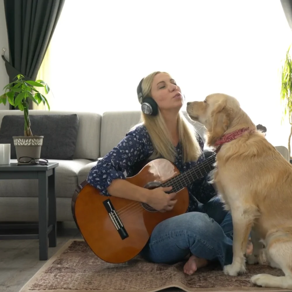 Play Better for Your Dogs on Vimeo