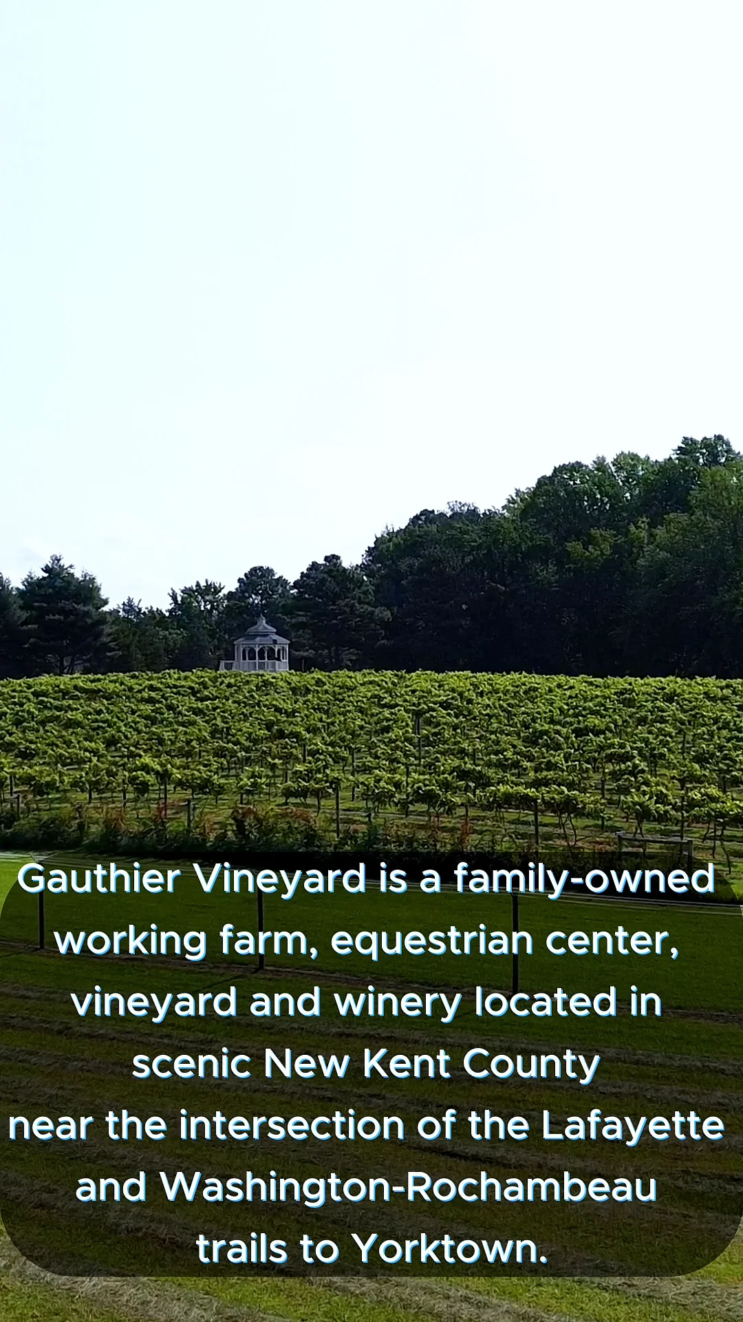 New Kent - Gauthier Winery Reel on Vimeo