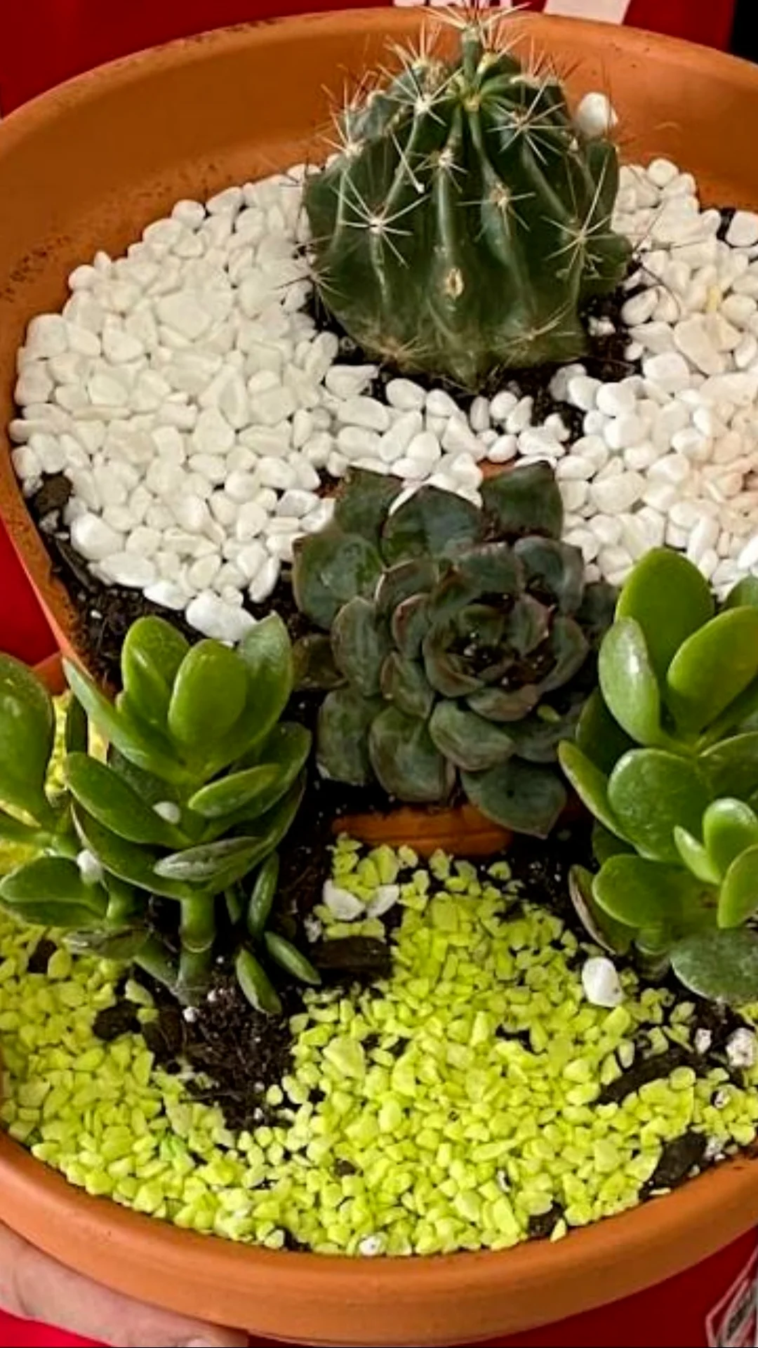 CANOYER GARDEN CENTER'S SMASH POTS CLASS on Vimeo