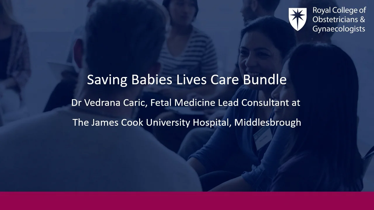 Saving Babies Lives Care Bundle, Dr Vedrana Caric