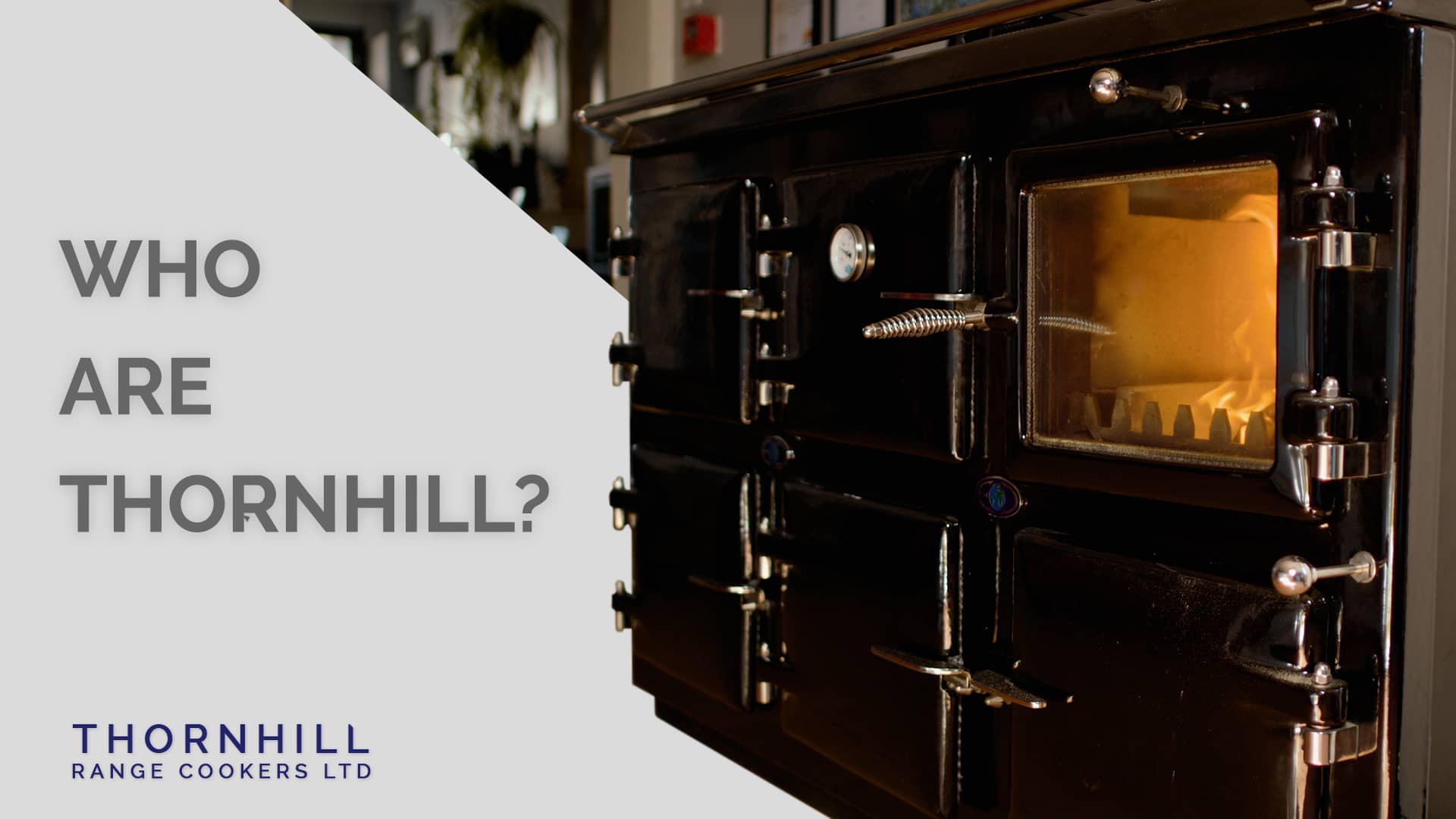 Who Are Thornhill? on Vimeo