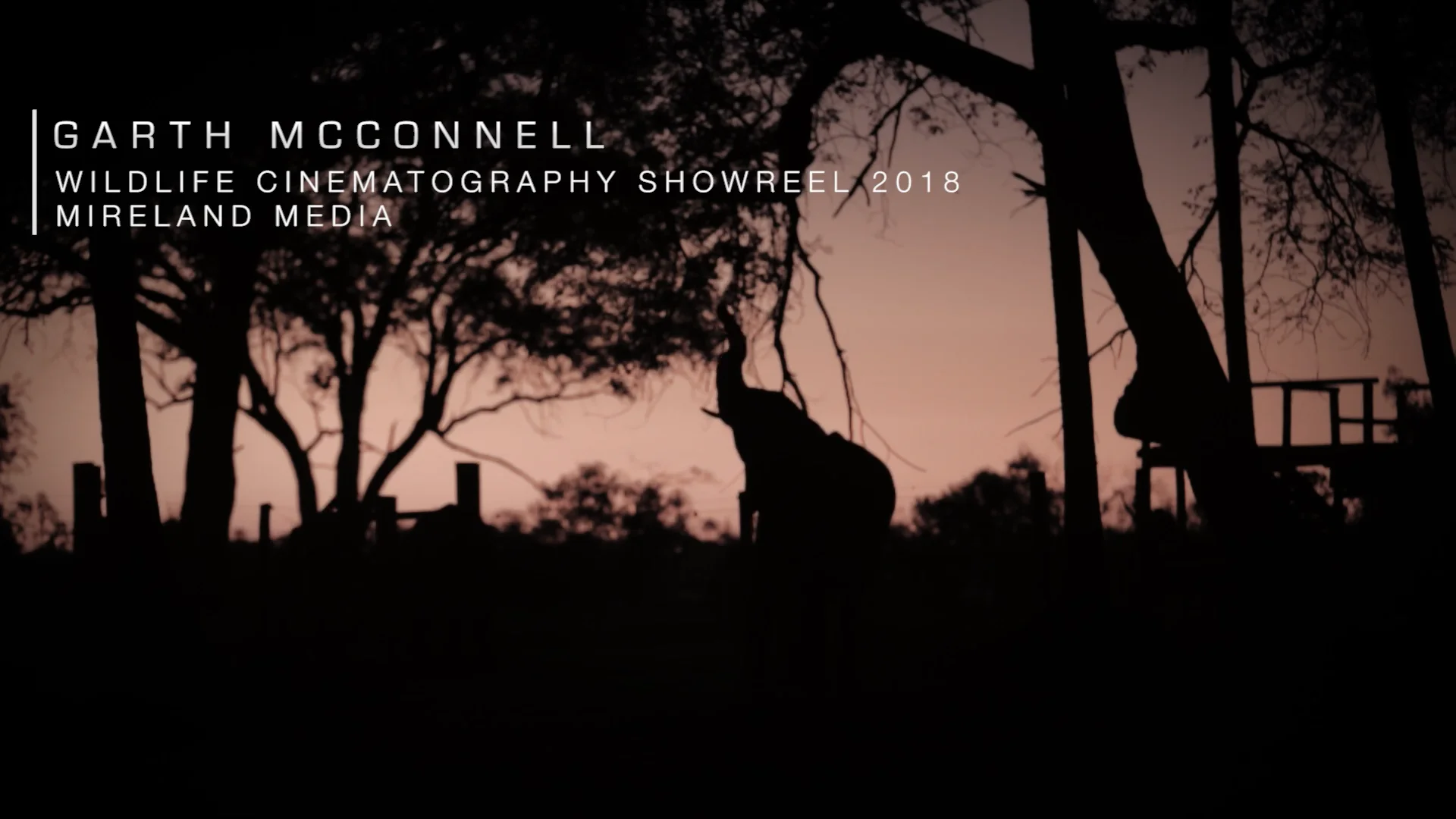 Wildlife Cinematography Showreel 2018 on Vimeo