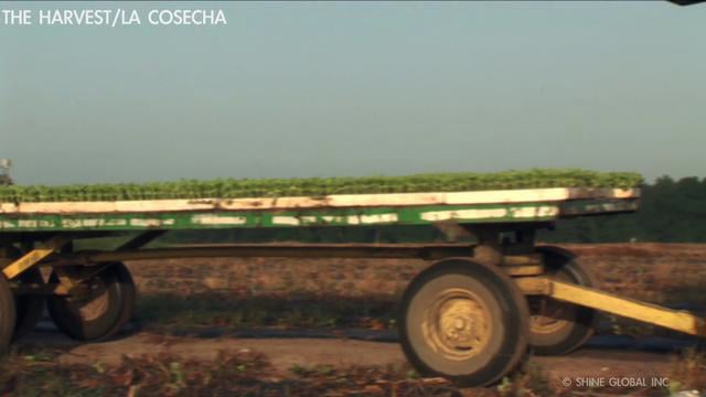 The Harvest / La Cosehca - Victor, age 16 in The Harvest / La Cosecha ...