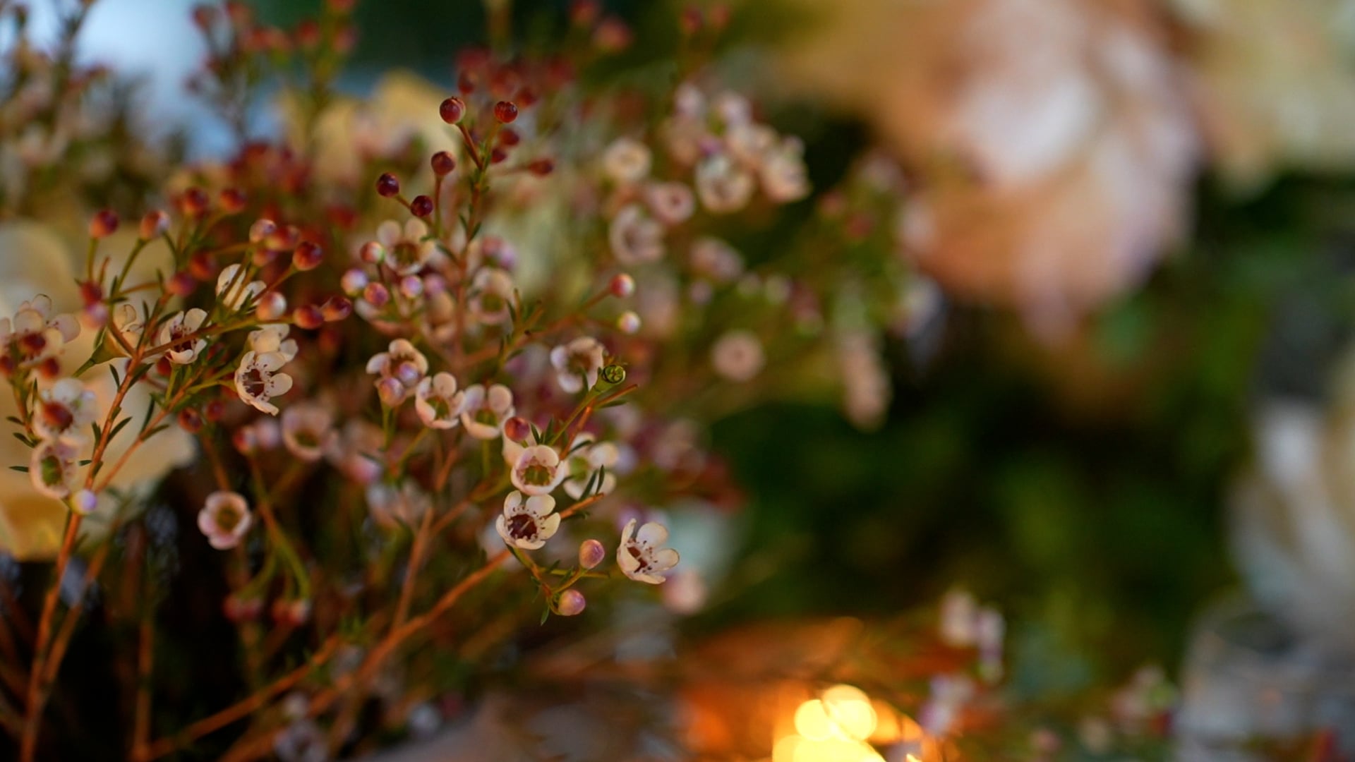 Bianca + Christian - Bianca + Christian - Ceremonia y Recepción on Vimeo