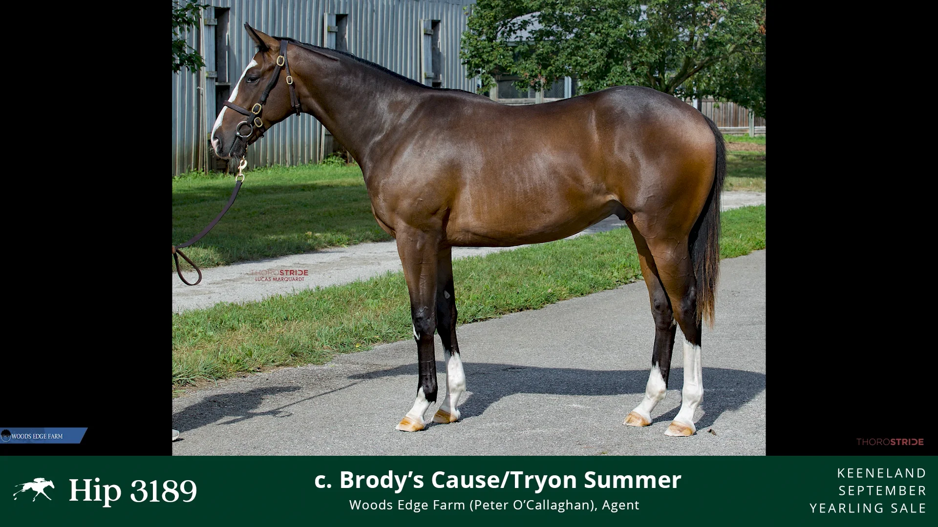 KEESEP23_Hip 3189_Tryon Summer 22 on Vimeo