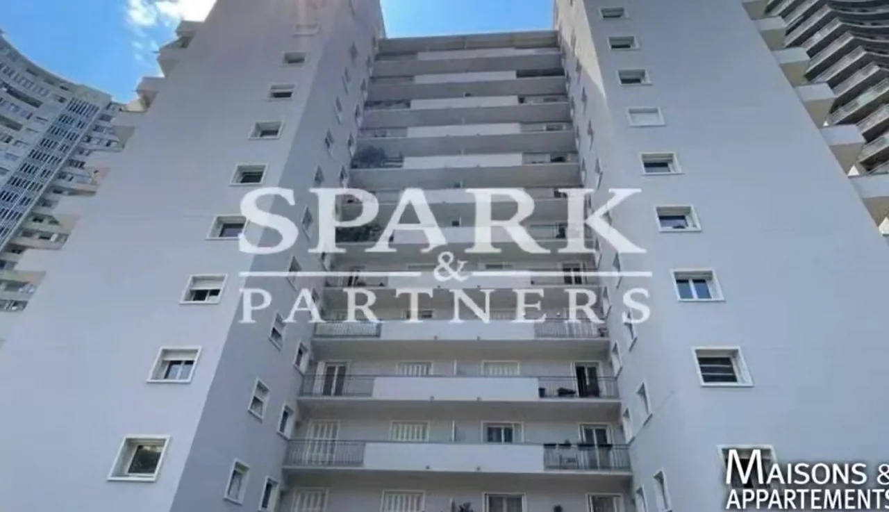 MONACO - APPARTEMENT A VENDRE - 2 315 000 € - 55 m² - 2 pièce(s) on Vimeo