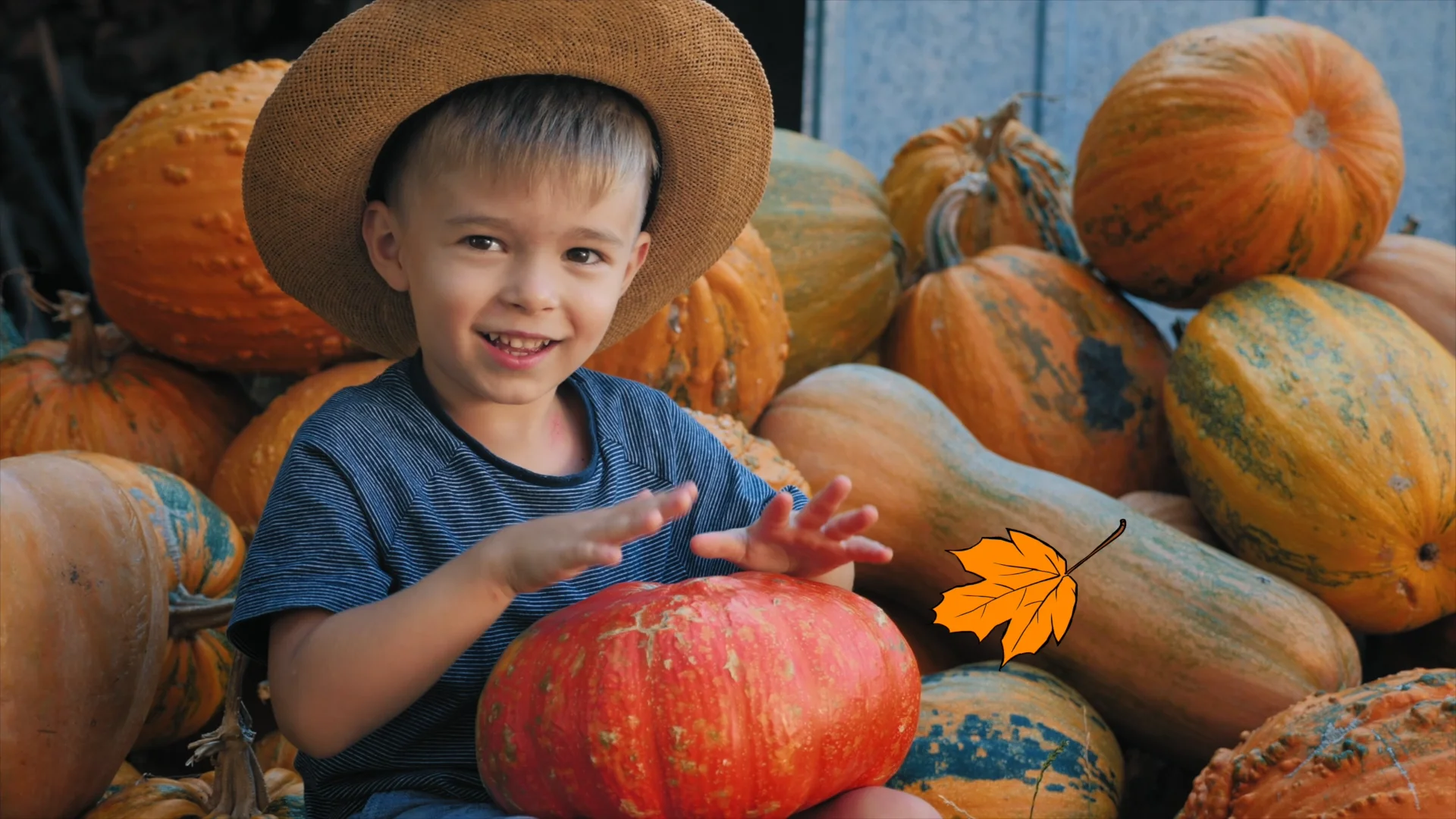 Peebles Farm - Fall Into Fun - HD 1080p on Vimeo