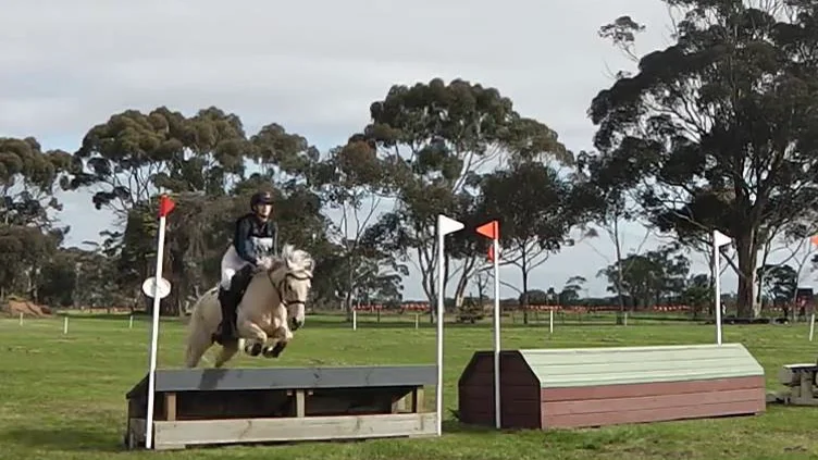 Alyssa Taylor riding Cosmopolitan Brumby 389 EvA80 Friends of Werribee ...