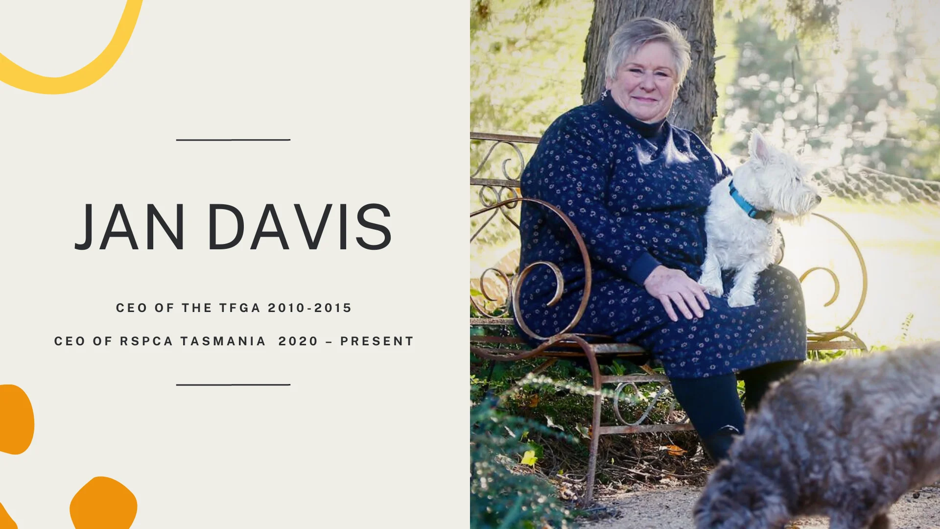Jan Davis CEO of RSPCA Tasmania on Vimeo