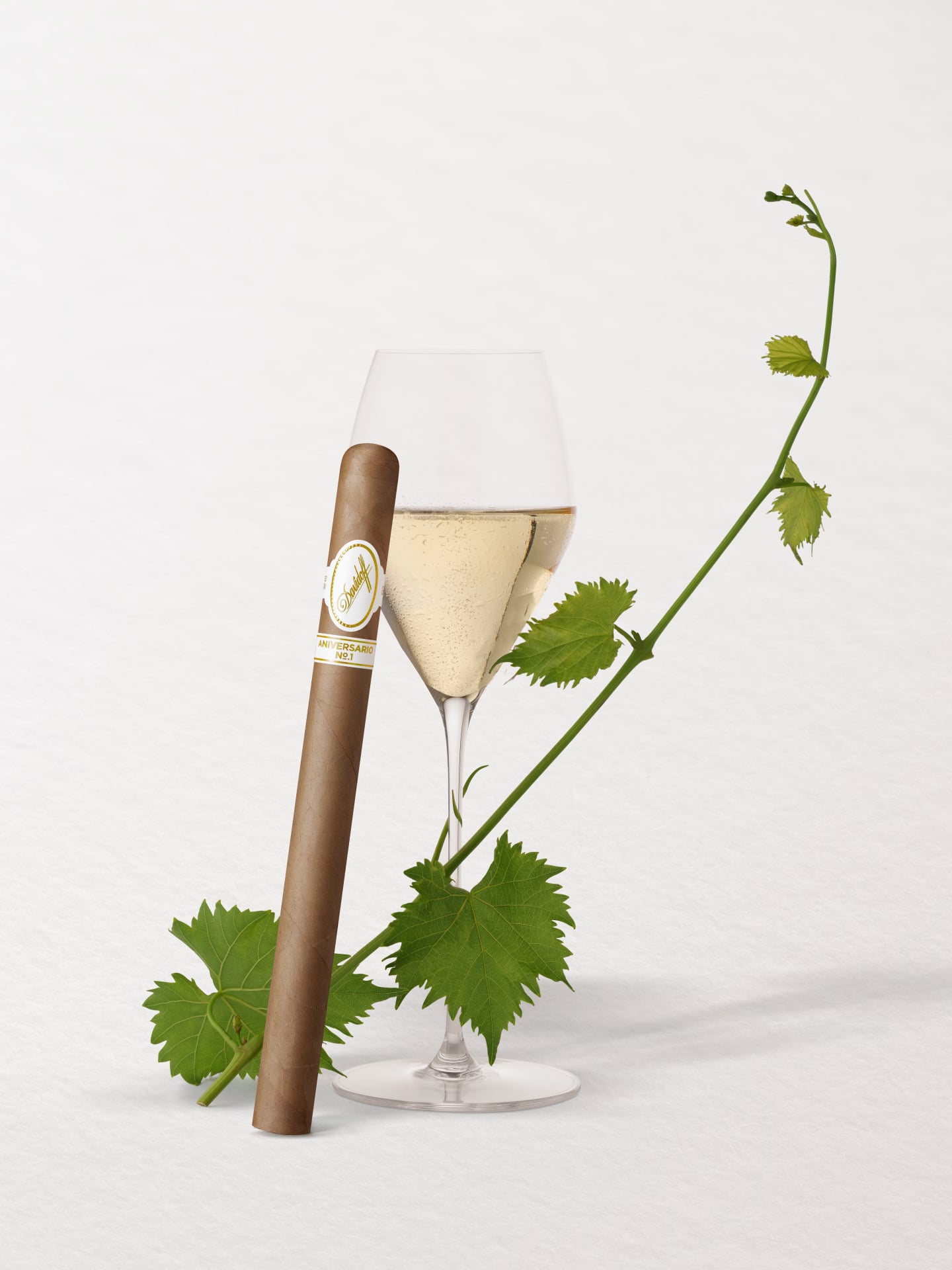 Davidoff Cigars - White Band Aniversario No.1 LE Pairing 3:4 on Vimeo