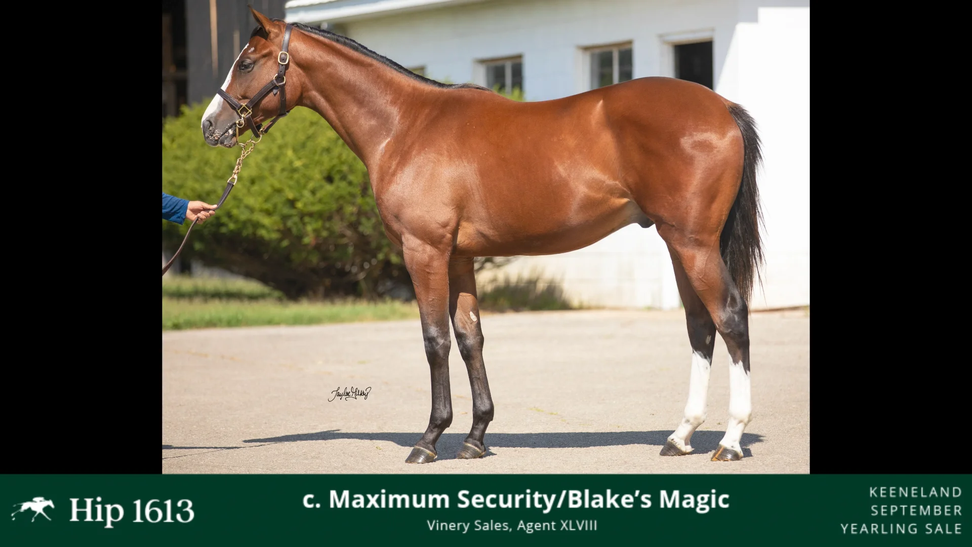 KEESEP23 1613 Blake's Magic 22 on Vimeo