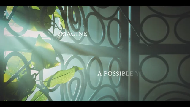 Noy Alexander Wallpaper