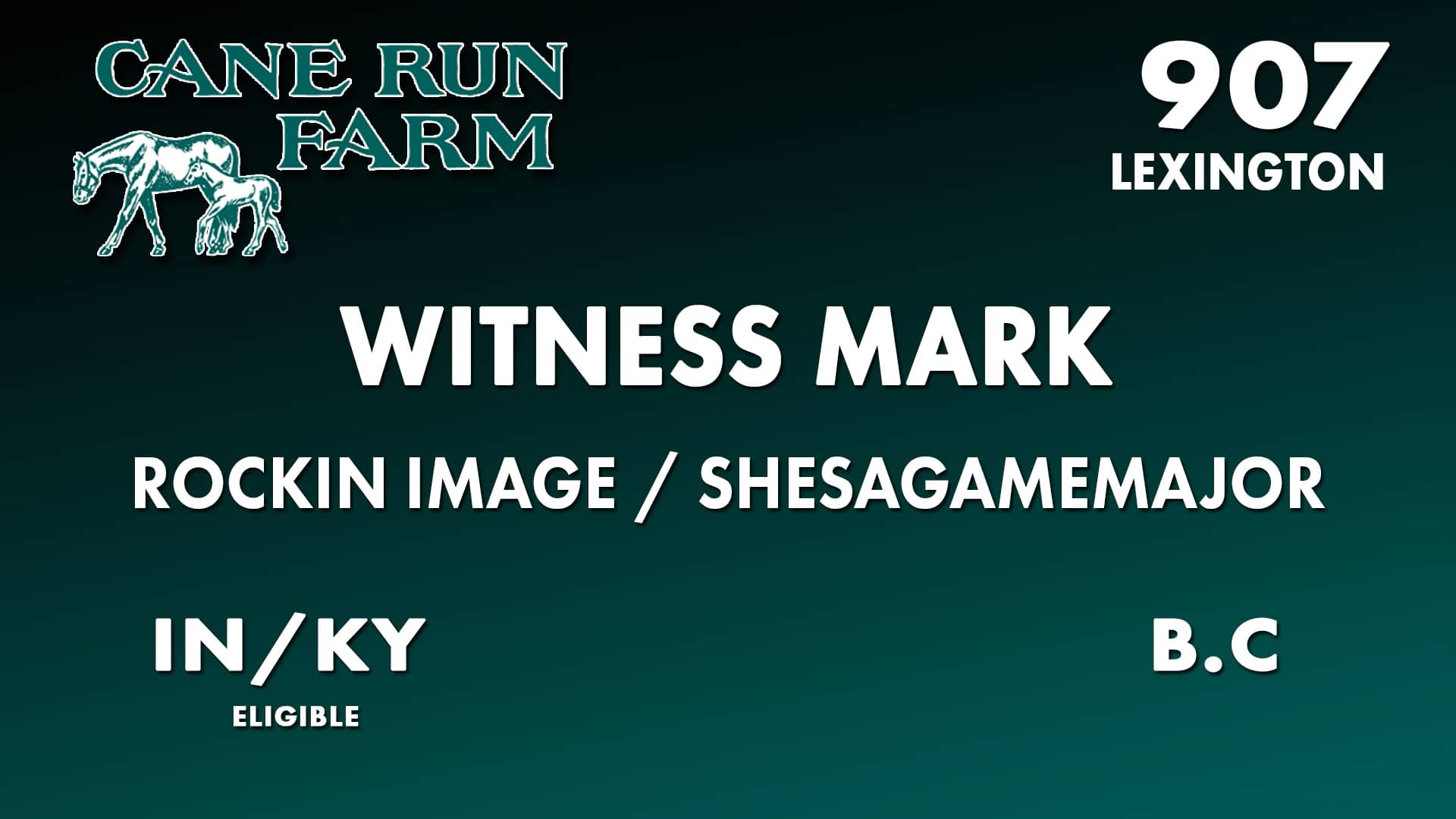 907 - Witness Mark on Vimeo