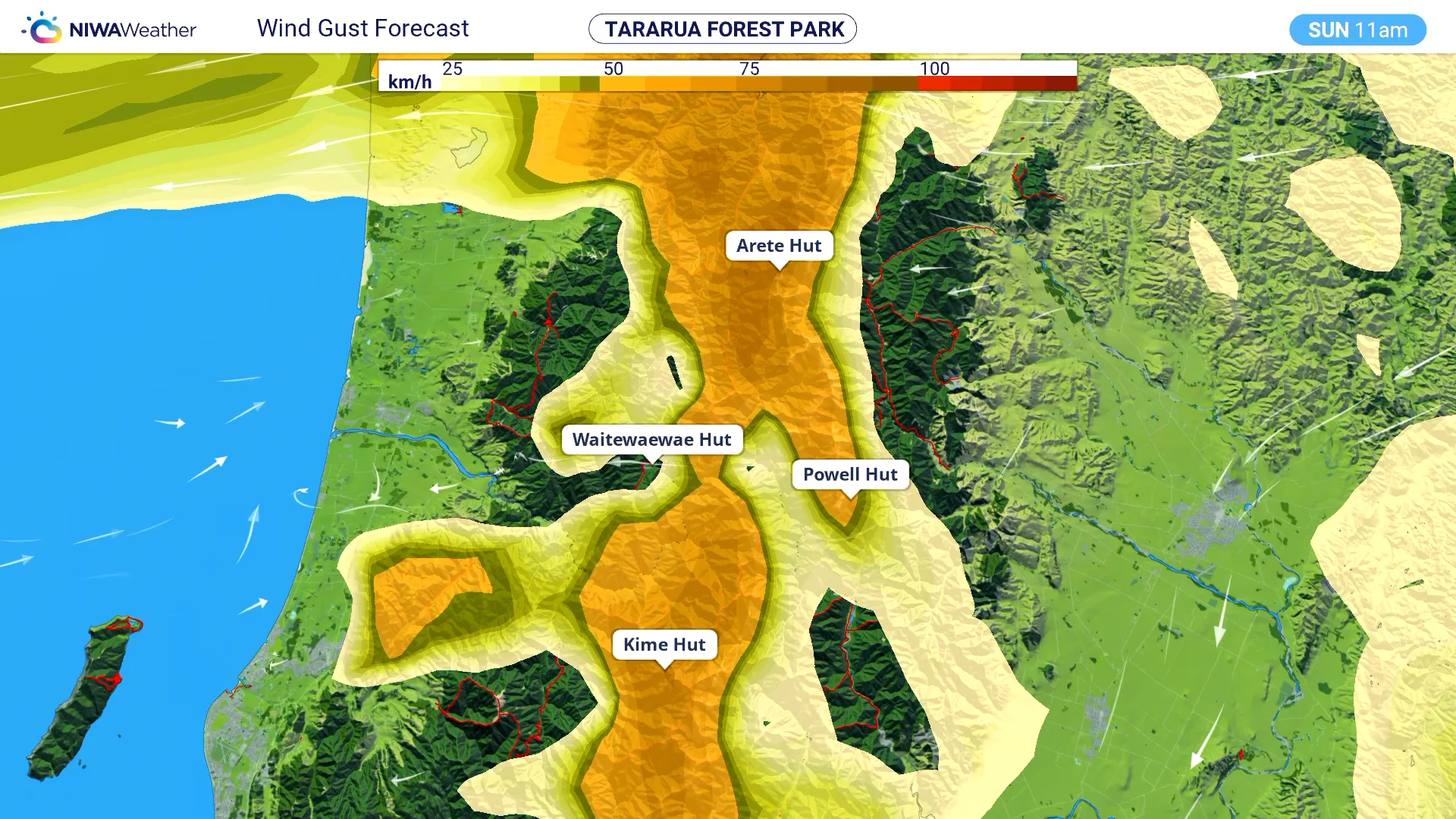 Tararua Forest Park Weather Outlook on Vimeo