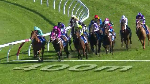 I Am Invincible - Stallion | Breednet