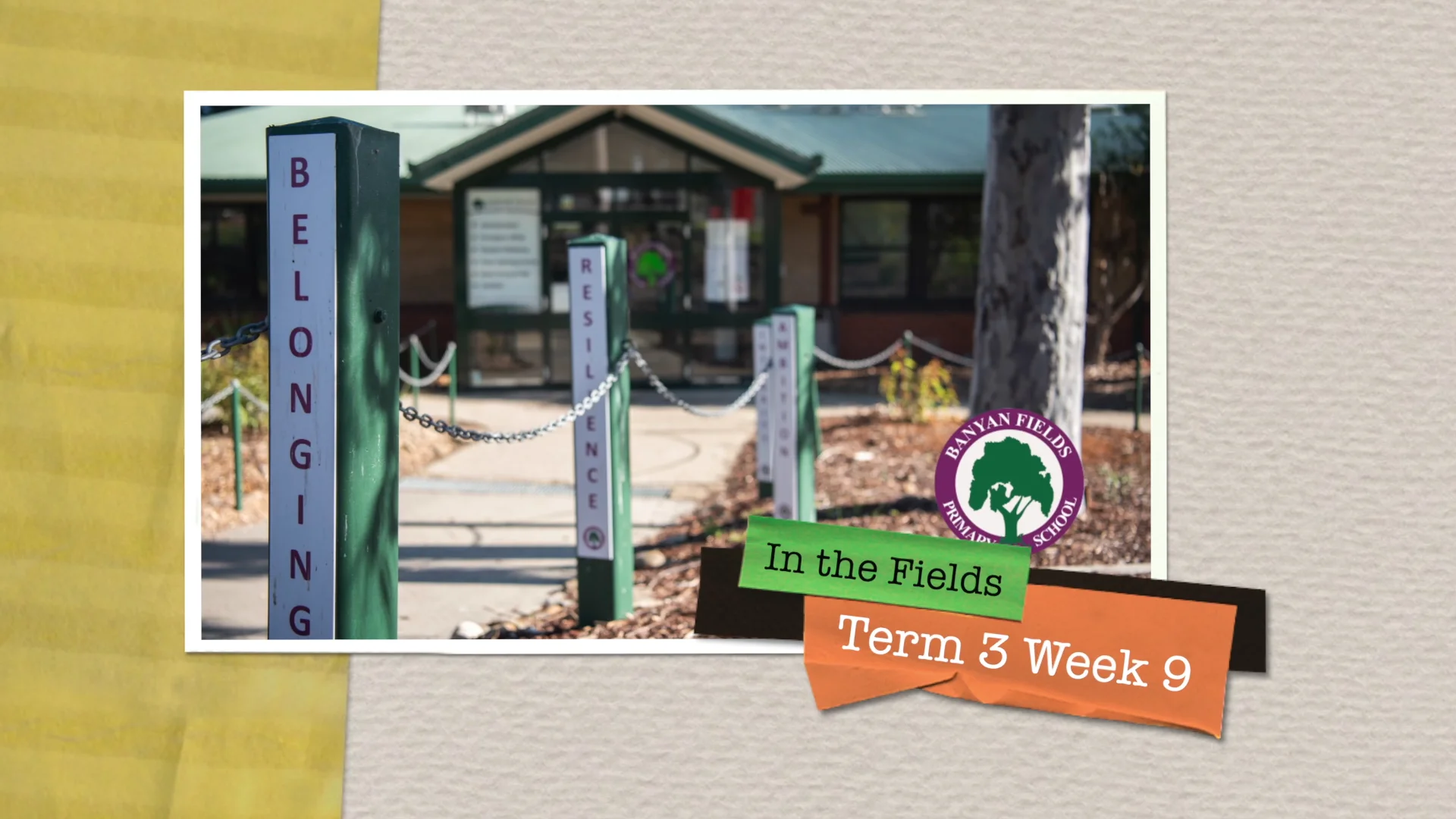 In the Fields Term 3 Week 9 on Vimeo